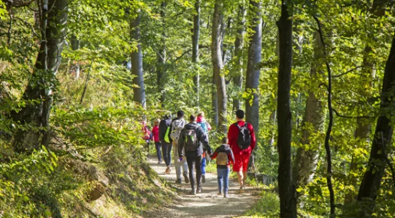 Cet été, découvrez l'offre touristique locale à ne pas manquer ...